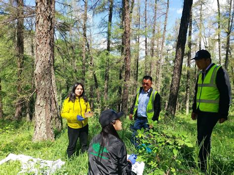 Ойн хортон шавжтай тэмцэх ажил үргэлжилж байна