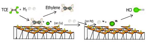 Scheme Of The Proposed Reaction Mechanism Download Scientific Diagram