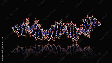 Dna Strand Or Aptamer Sitting On Reflective Surface Against Black