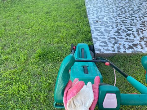 장마철 다시 자라난 잔디 잔디를 한번 더 깎아 보자