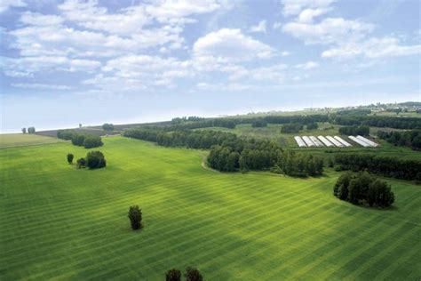 Классификатор разрешенного использования земельного участка перечень новых видов с кодами что