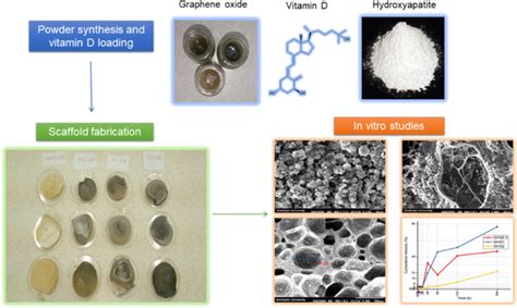 具有释放维生素 D 能力的骨组织工程明胶 羟基磷灰石 氧化石墨烯支架：制造、表征和体外研究 Journal Of Materials Science Materials In