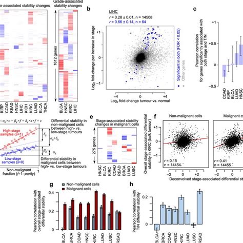 Inference Of Differential Mrna Stability Using Diffrac A Schematic