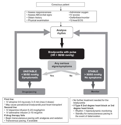 Dopamine For Pulseless Electrical Activity Rhythm
