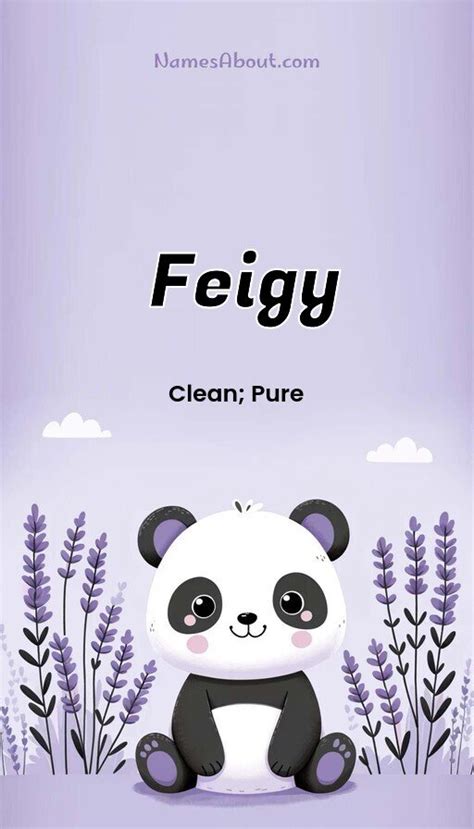 Feigy Name Meaning And Origins Nicknames Sibling Ideas