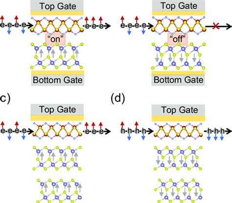 Two Types Of Spin Fets A B Atom Thick Multiferroic Memory Based On Download Scientific