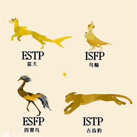 Pin By Gabrielly Lima On Mbti Mbti Mbti Functions Mbti Relationships