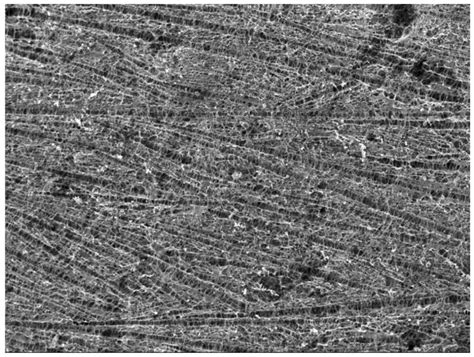 High Sensitivity And Wide Range Composite Conductive Nanofiber Aerogel