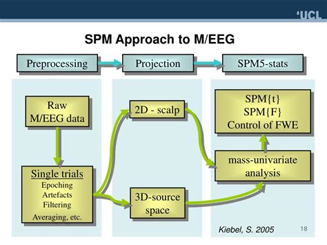 Ppt Experimental Design Contrasts And Inference Eeg And Meg Powerpoint