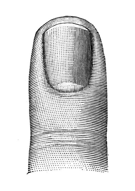 Finger Structure Close Up Stock Image Image Of Antique 283104431