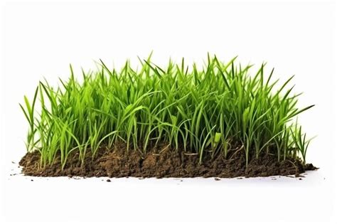 Premium Photo A Green Grass Grows In A Pile Of Dirt