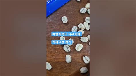 커피요정 찾기 바람계곡의나우시카 디펙트빈찾기 콜롬비아 커피 Youtube