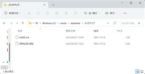 Oracle 無償版 Xe 21c Spfileからpfileへの変更 自分で改善