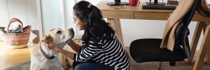 Codess | Microsoft Careers