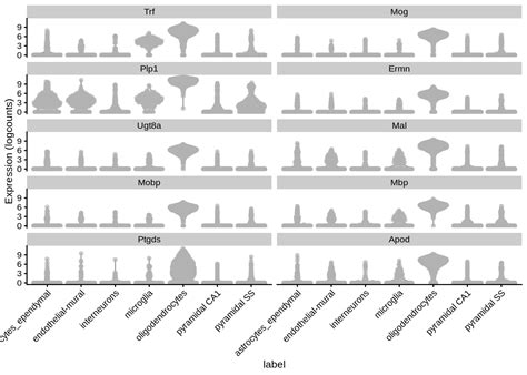 Zeisel Expert Annotated Marker Gene Analysis