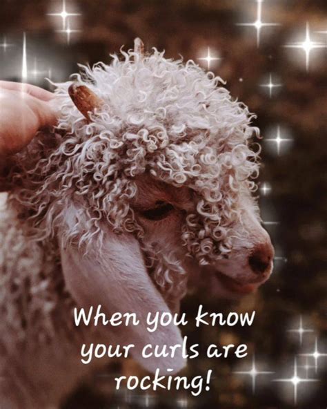 Sweet Pixie Dreams Home Facebook