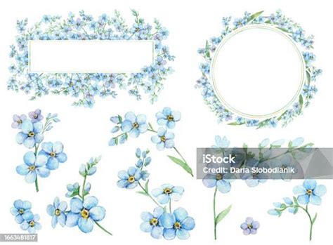 파란색 물망초 꽃무늬 직사각형 프레임 텍스트를 위한 장소가 있는 둥근 화환 세트 봄 꽃 전갈 잔디 Myosotis 결혼 기념일