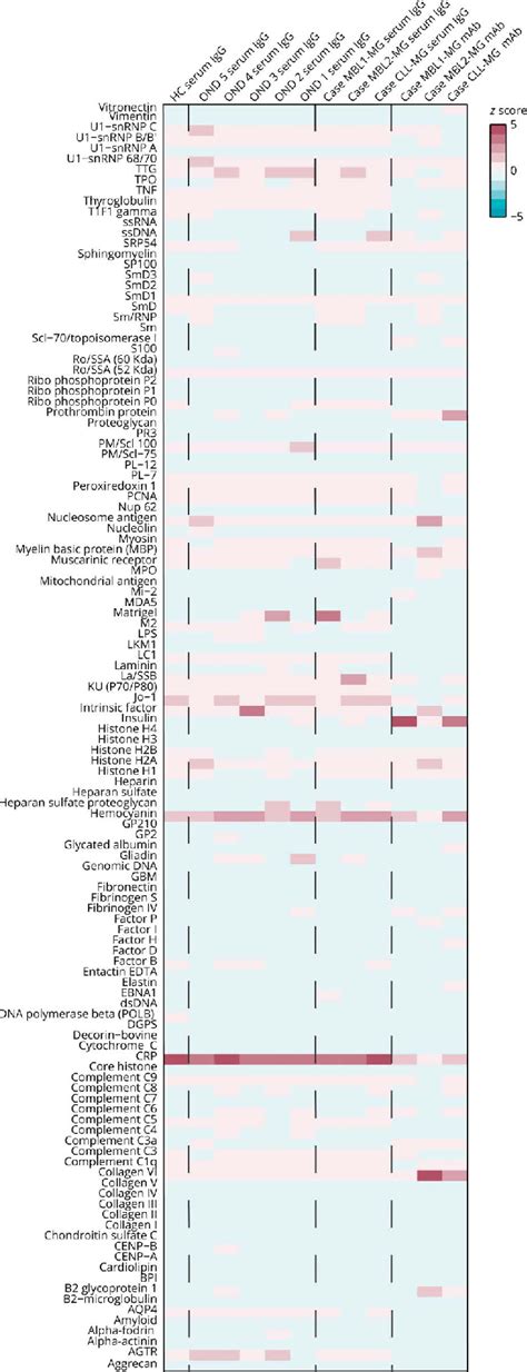 Cll Like B Cell Clones Are Not Directed Against Common Autoantigens