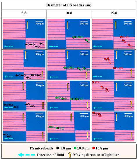 Biosensors Free Full Text Combination Of An Optically Induced