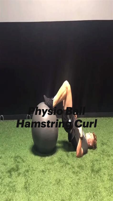 Physio Ball Hamstring Curl Lower Back Exercises Exercise Fitness Equipment Inner Thighs