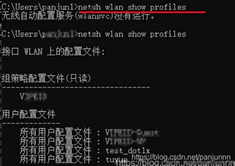 使用netsh命令配置windows网络netsh Wlan Show Profiles Csdn博客