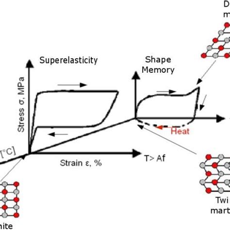 The Behavior Of Superelasticity And The Shape Memory Effect In The SMA Download Scientific