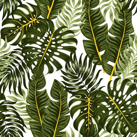 Colorful Tropical Plants Stock Illustrations 30844 Colorful Tropical