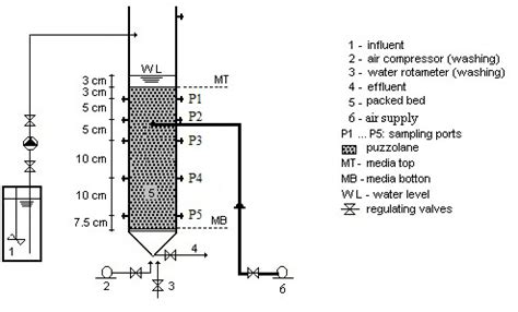 Schematic Representation Of The Experimental BAF During The Normal Download Scientific Diagram