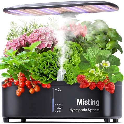 Top 5 Indoor Hydroponic Herb Kits For Easy Home Gardening In 2026