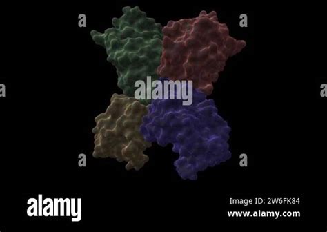 Structure Of Streptococcal Pyrogenic Exotoxin A1 Spea Tetramer