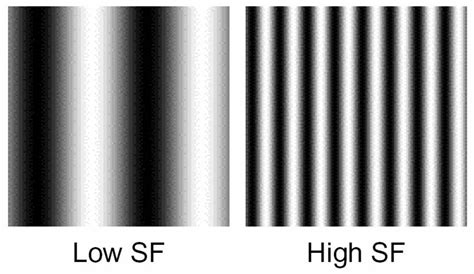 Einstein Monroe Illusion A Two For One Image Gustavus Blogs