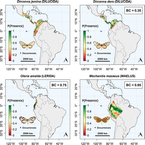Illustration Of Spatial Dissimilarity In Distribution Range Between Download Scientific Diagram