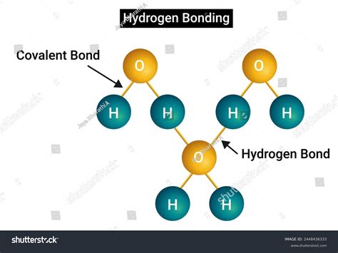 Hydrogen Bond H Bond Primarily Electrostatic Force Stock Vector