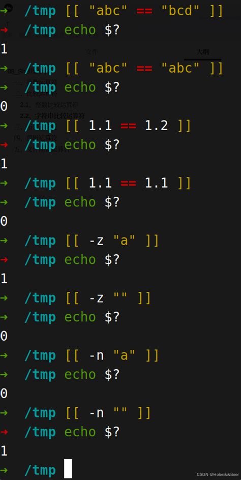 08 shell运算符 csdn博客