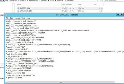 Restoring An Oracle Database With Rman Jim Salaseks Sql Server Blog