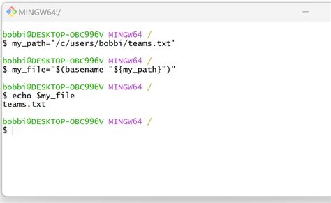 Bash How To Extract Filename From A Path Collecting Wisdom