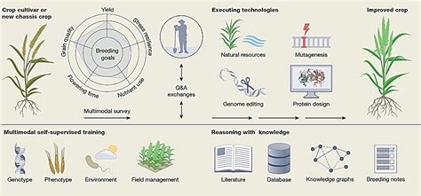 Scientists Outline Integrated Ai Biotech Approach To Advance Sustainable Crop Development