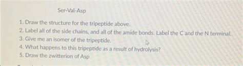 Solved Ser Val Asp 1 Draw The Structure For The Tripeptide