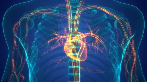Azalea Timi 71 Trial Shows Abelacimab Significantly Reduces Bleeding Events Vs Xarelto In Afib
