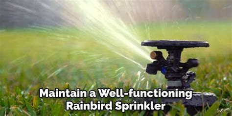 How To Fix A Rainbird Sprinkler Head That Wont Rotate 6 Steps