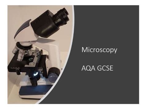 Microscopy Supplementary Slides And Worksheet Gcse Biology Aqa