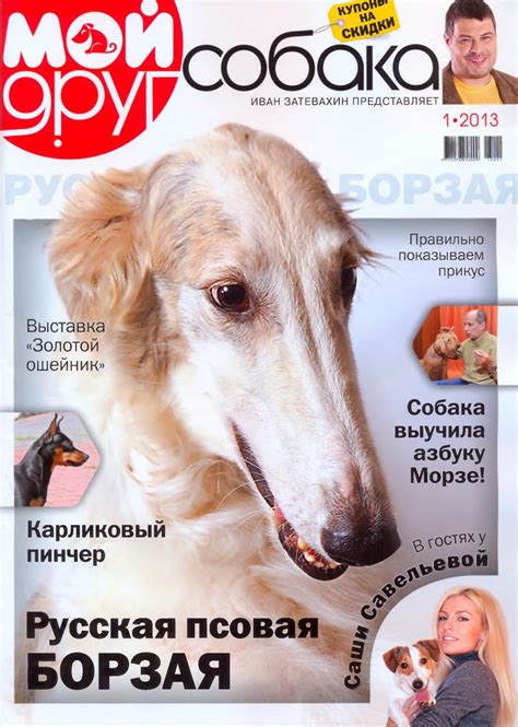 Журнал про собак (70 фото) - картинки sobakovod.club
