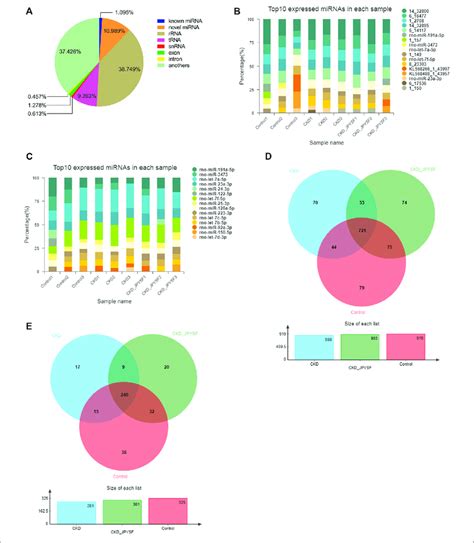 Overview Of Small RNA Sequencing A Proportion Of Various Small Download Scientific Diagram