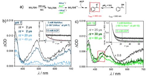 Fig S 6 Detection Of The Acp Radical Anion 25 26 With Ph Dependent Lfp
