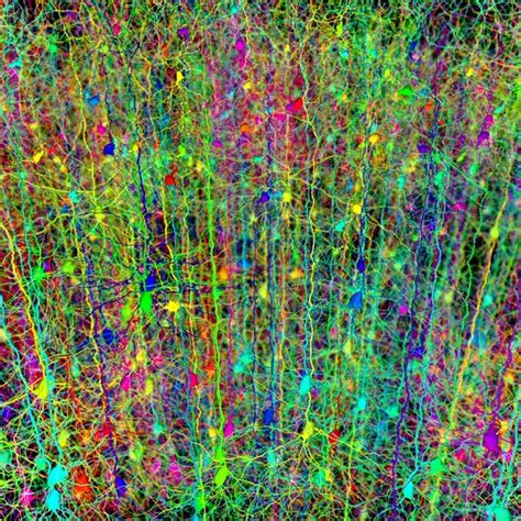 Cliff Pickover On Twitter Biology Mathematics Computation The