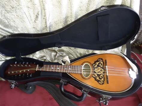 12 String Mandolin Oscar Schmidt Bowl Back Mid 1920 Varnish Reverb