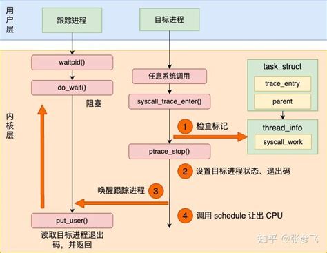 揭开 Strace 命令捕获系统调用的神秘面纱 知乎