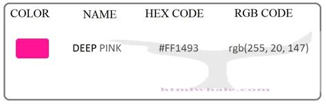 HTMLWHALE COM