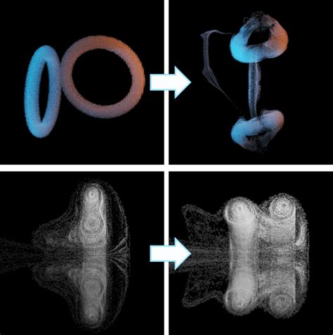 Our Clebsch Gauge Method Can Be Used To Simulate Various Fluid Download Scientific Diagram