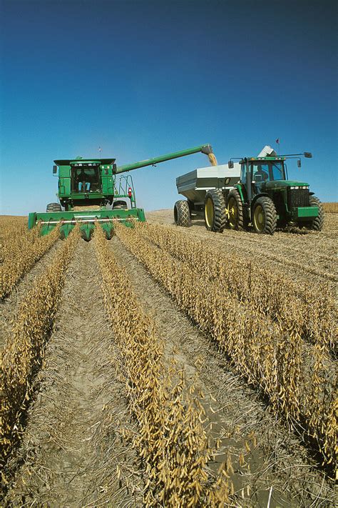 Combine Harvester Corn